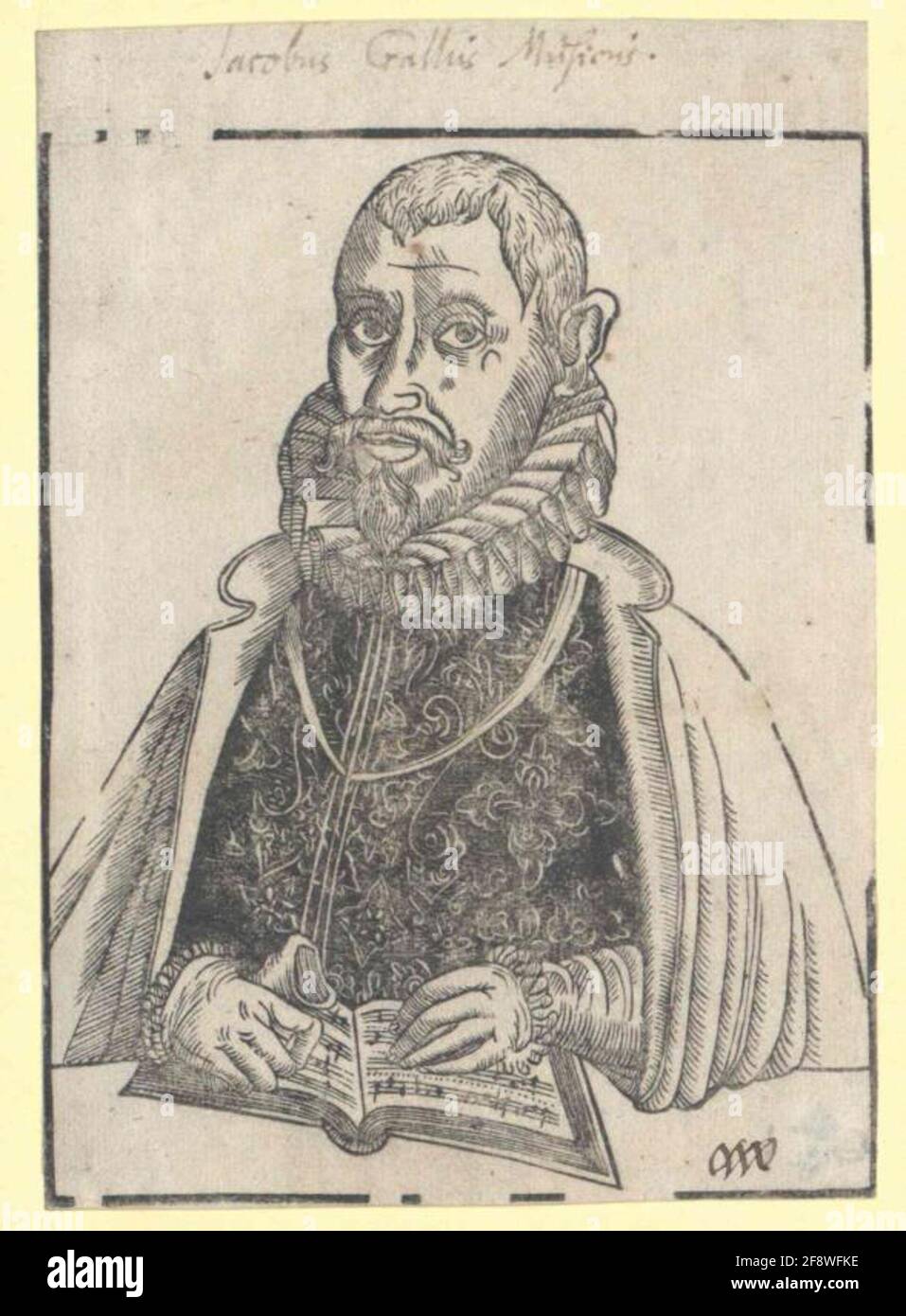 Jacobus gallus -Fotos und -Bildmaterial in hoher Auflösung – Alamy