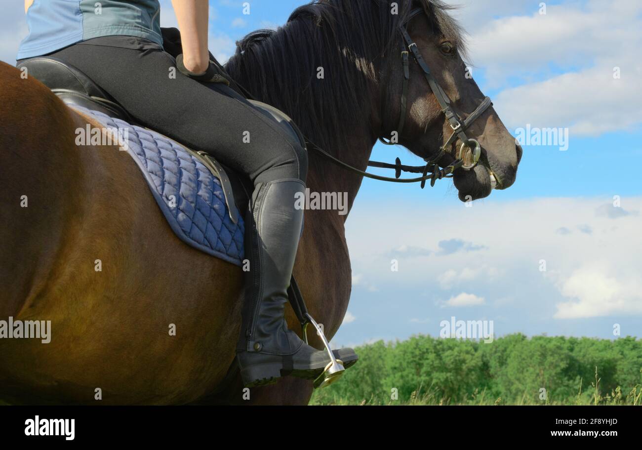Satteln reiterin -Fotos und -Bildmaterial in hoher Auflösung – Alamy