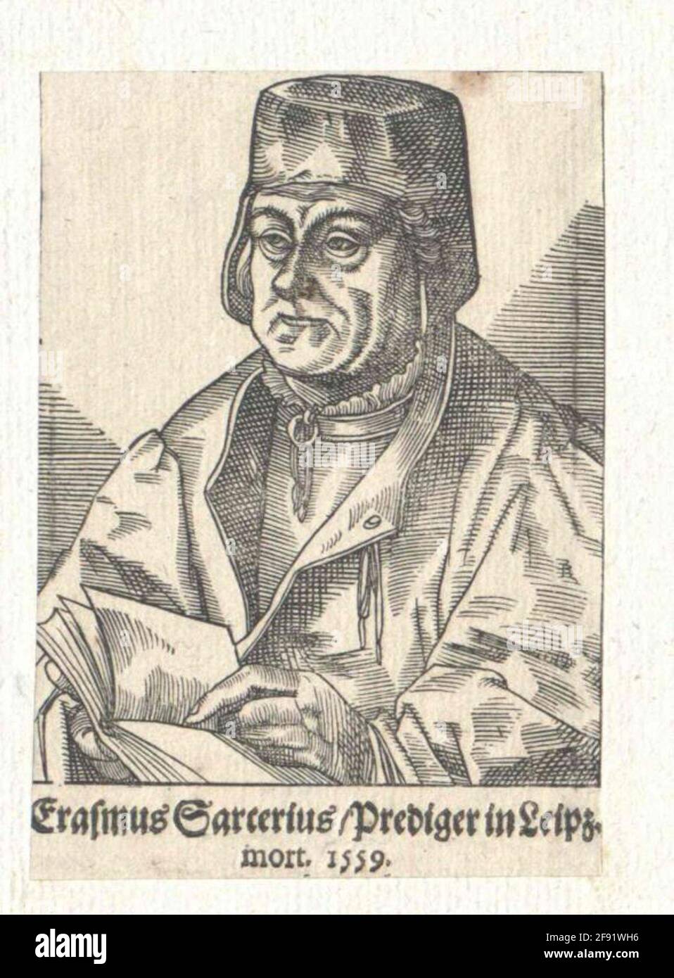 Erasmus sarcerius -Fotos und -Bildmaterial in hoher Auflösung – Alamy