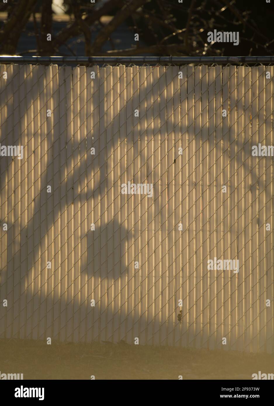 Schatten am zaun -Fotos und -Bildmaterial in hoher Auflösung – Alamy