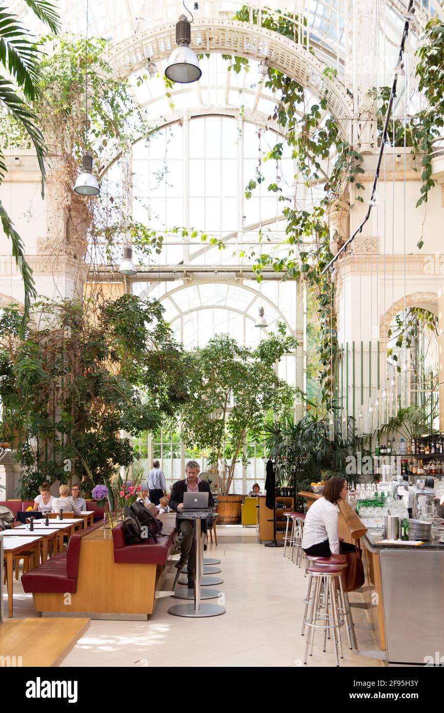 Palmenhaus wien -Fotos und -Bildmaterial in hoher Auflösung – Alamy