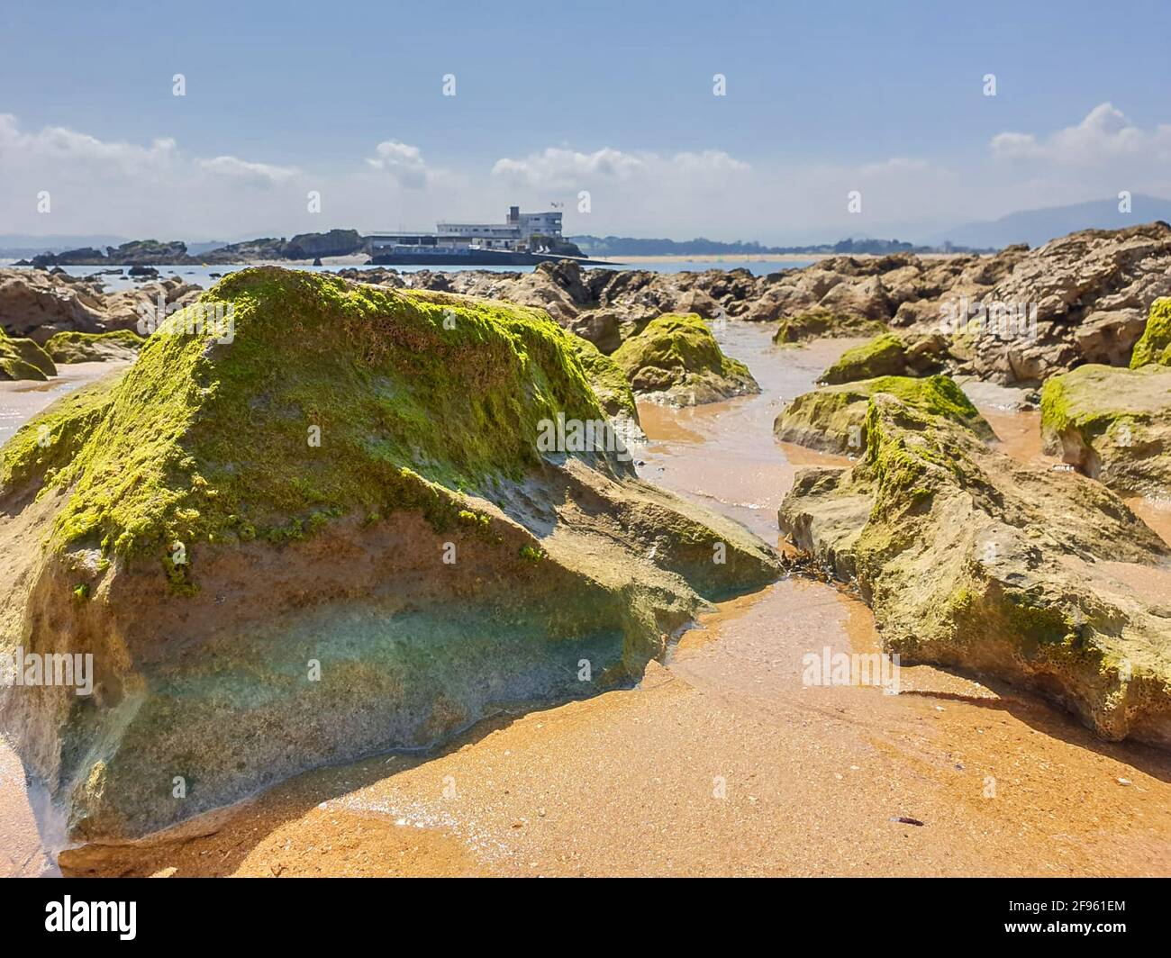 Moos Auf Stein Stockfotos und -bilder Kaufen - Alamy