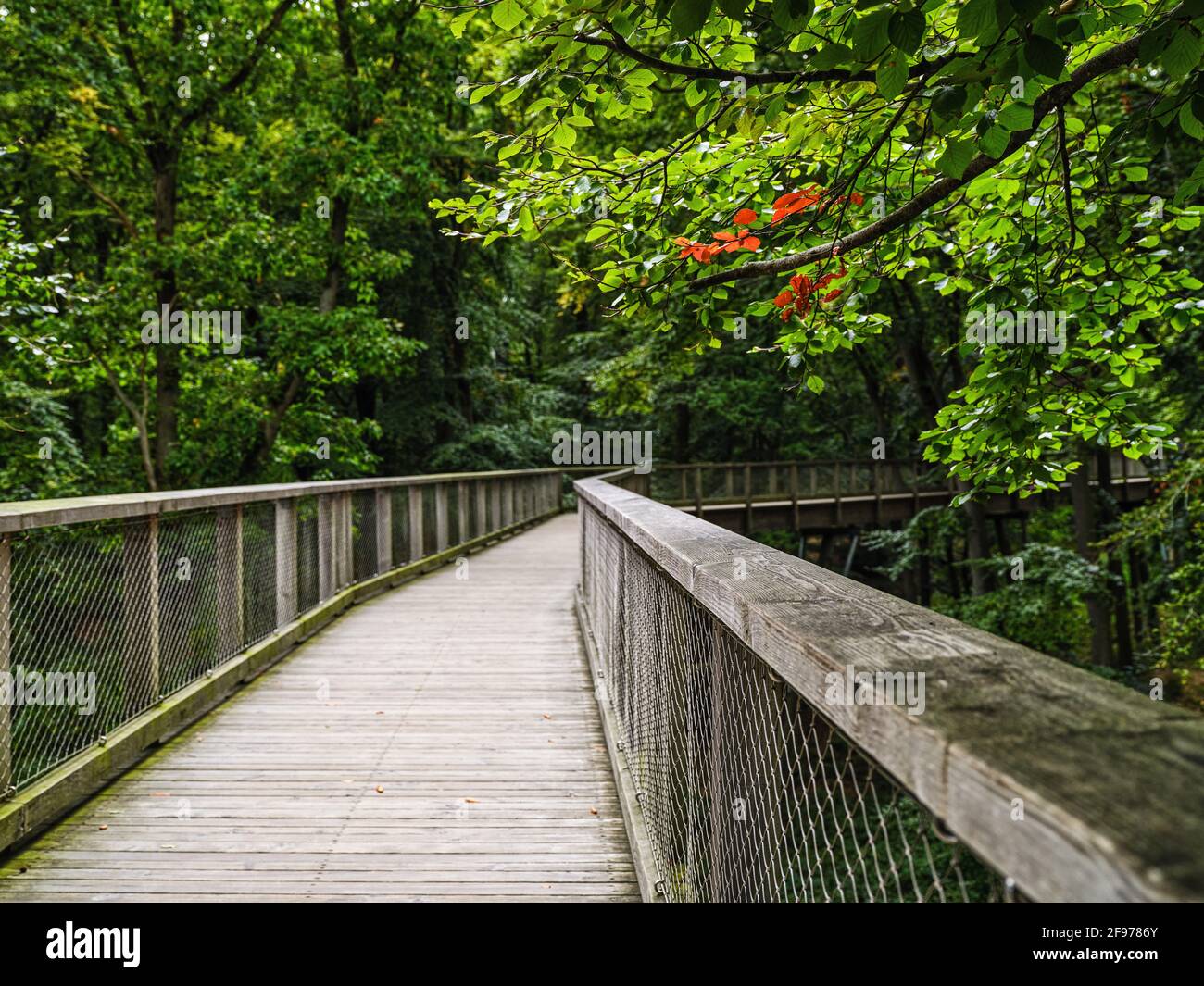 Naturerbe zentrum die insel rugen -Fotos und -Bildmaterial in hoher ...