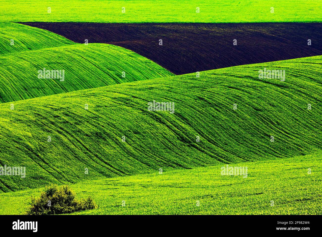 Wellige region -Fotos und -Bildmaterial in hoher Auflösung – Alamy