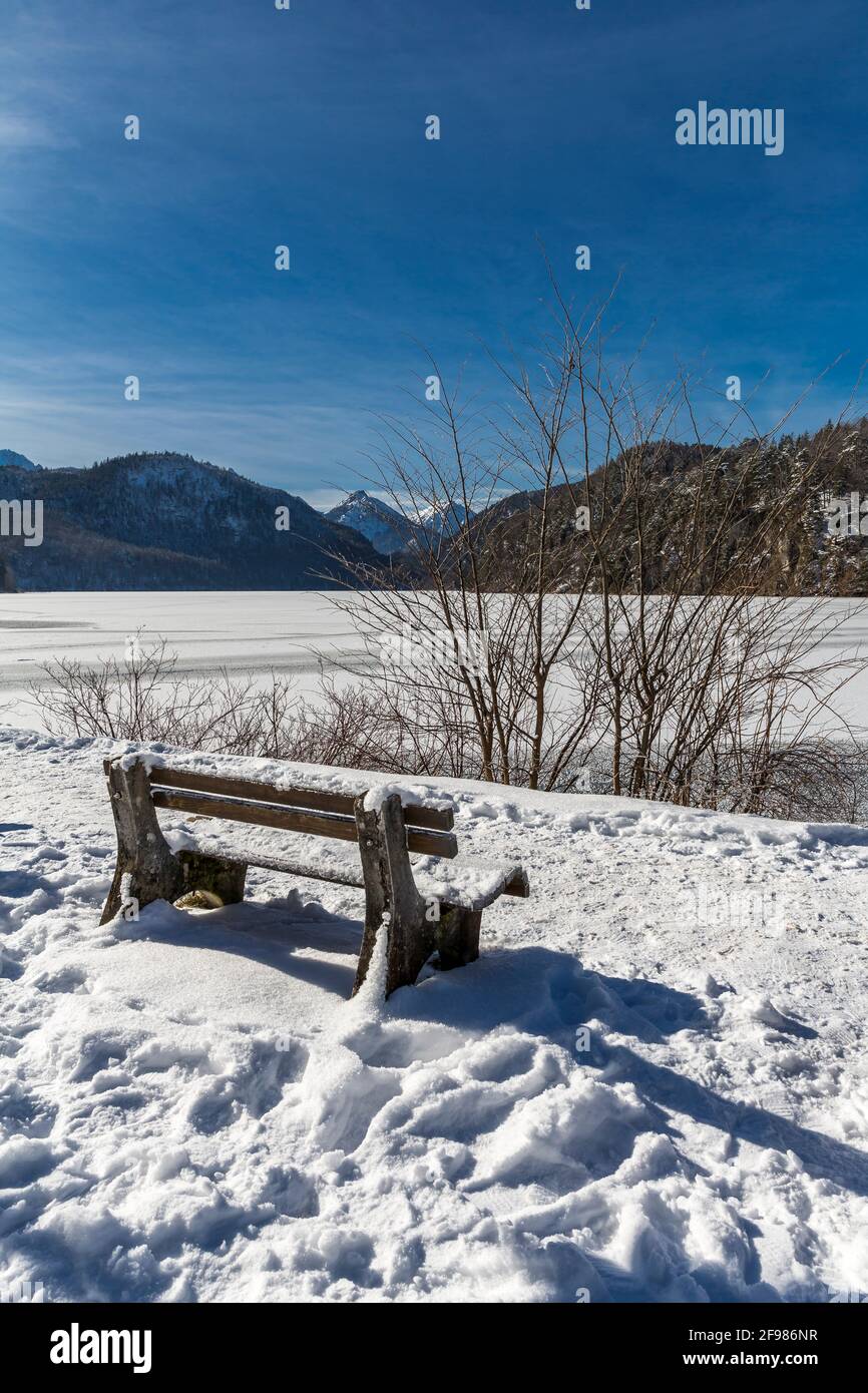 Bank, gefrorener Alpsee im Winter, Schwangau, Füssen, Allgäuer Alpen ...