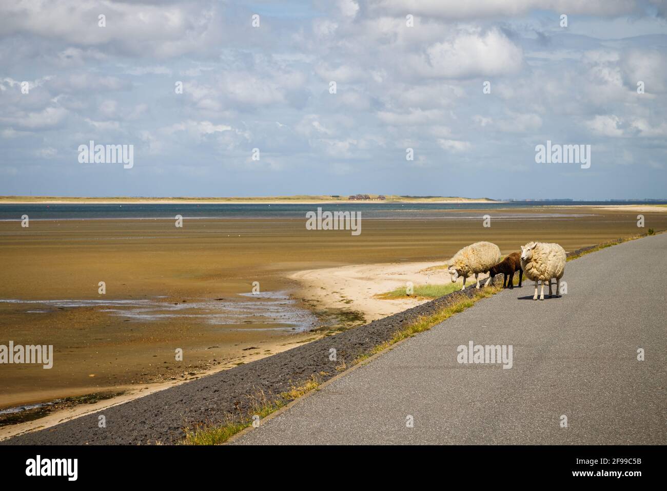 Deich am wattenmeer -Fotos und -Bildmaterial in hoher Auflösung – Alamy