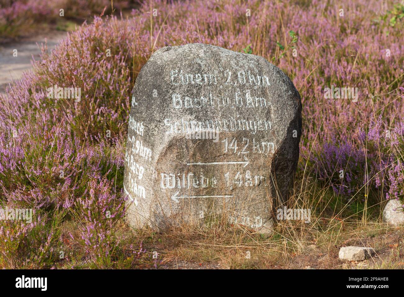 Heide mit Stein als Wegweiser, Wilseder Berg, Wilsede, Naturpark ...