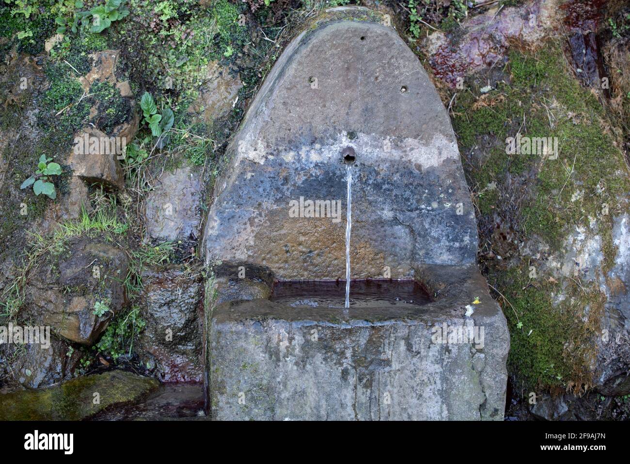 Frische wasserquelle -Fotos und -Bildmaterial in hoher Auflösung – Alamy