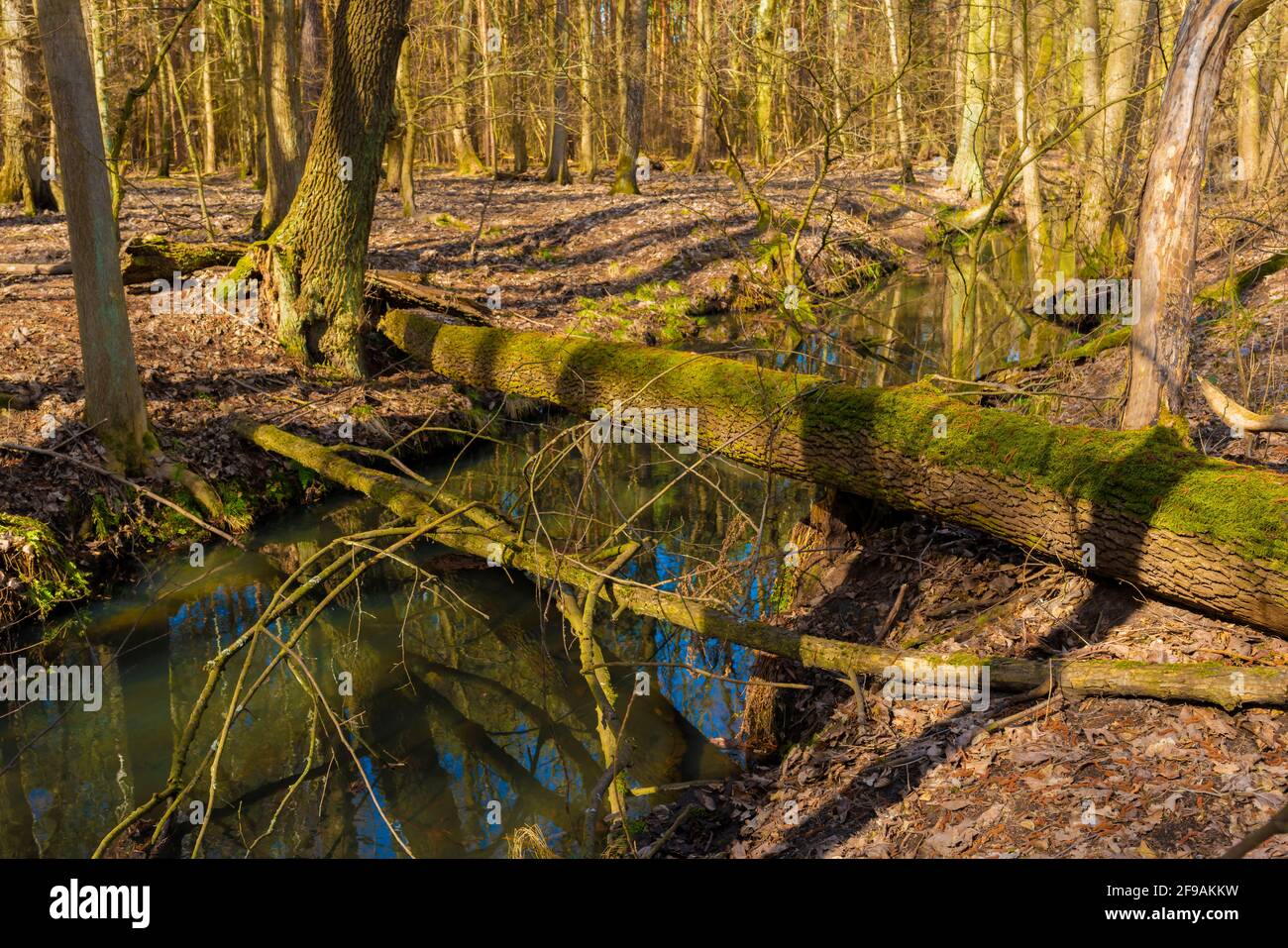 Hochwasser in der landschaft -Fotos und -Bildmaterial in hoher Auflösung – Alamy