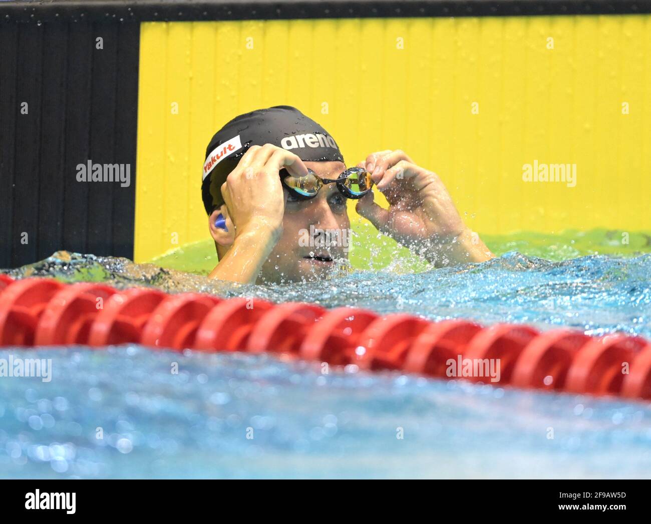 Kusch marius -Fotos und -Bildmaterial in hoher Auflösung – Alamy