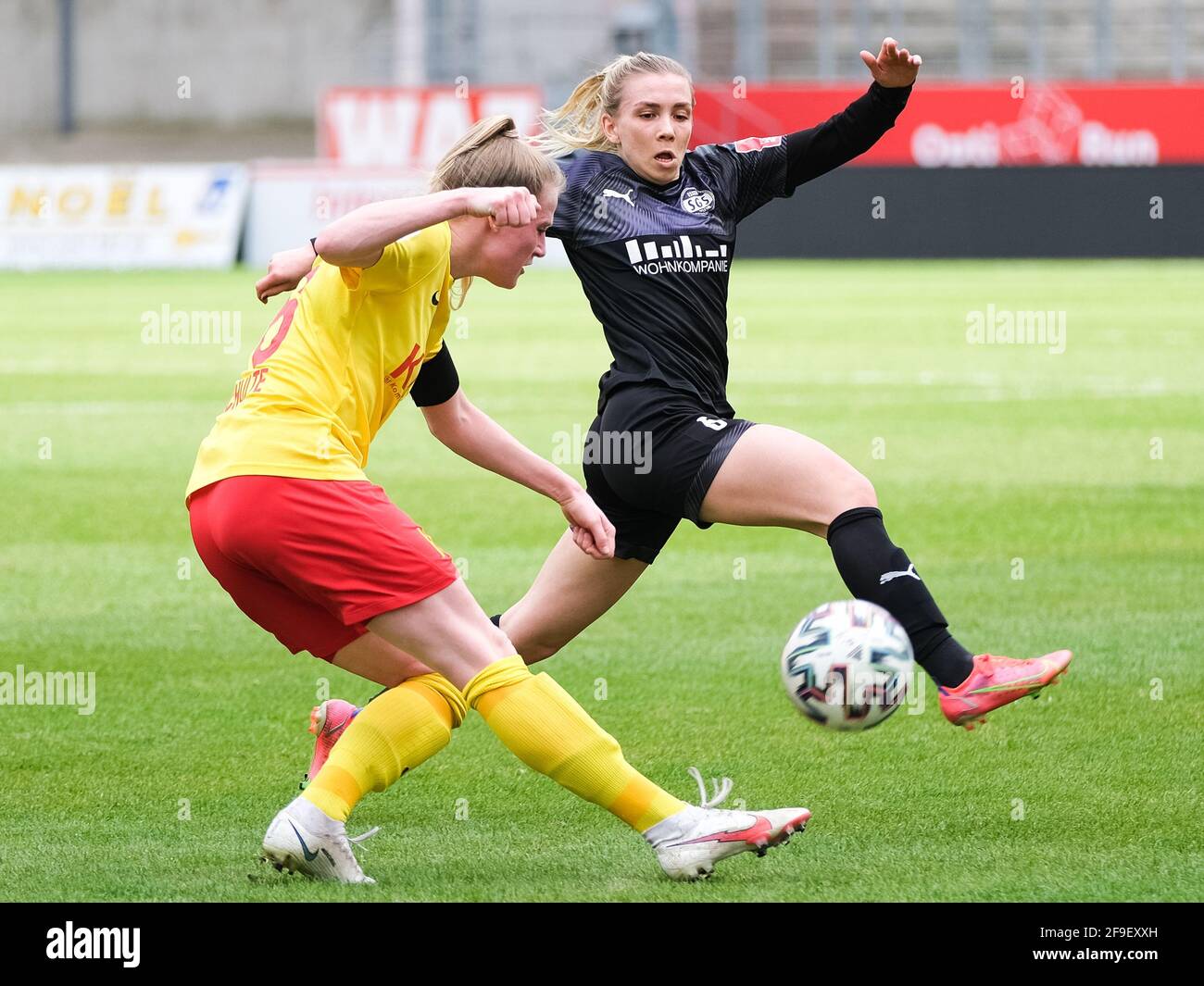 Beattie goad -Fotos und -Bildmaterial in hoher Auflösung – Alamy