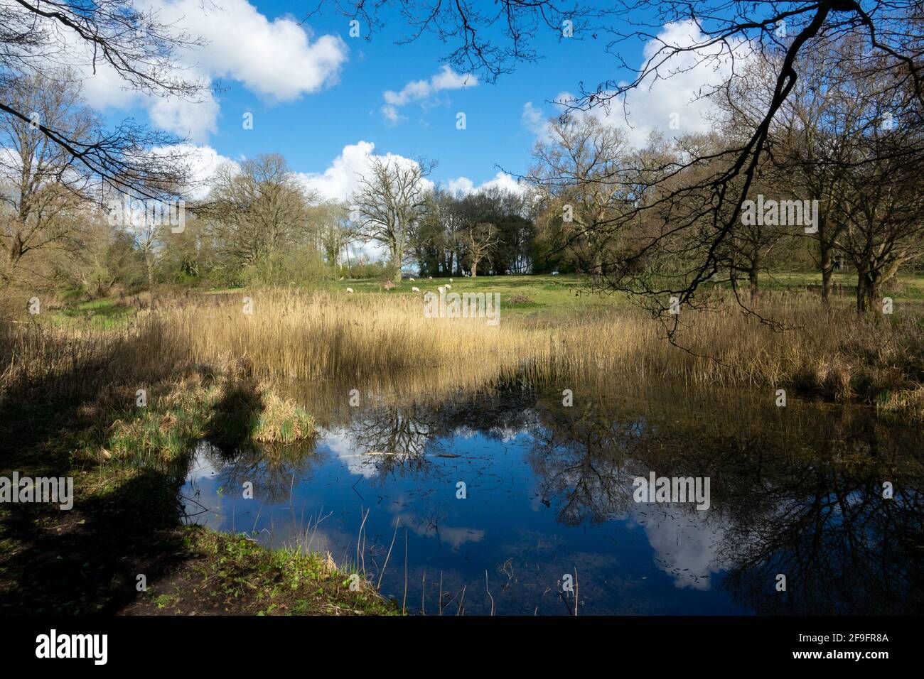Farm pond -Fotos und -Bildmaterial in hoher Auflösung – Alamy