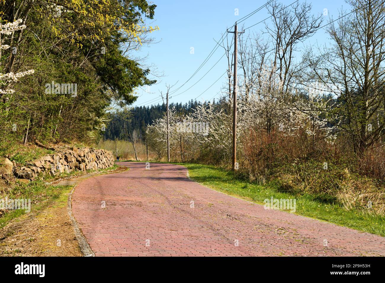 Yellowstone trail -Fotos und -Bildmaterial in hoher Auflösung – Alamy