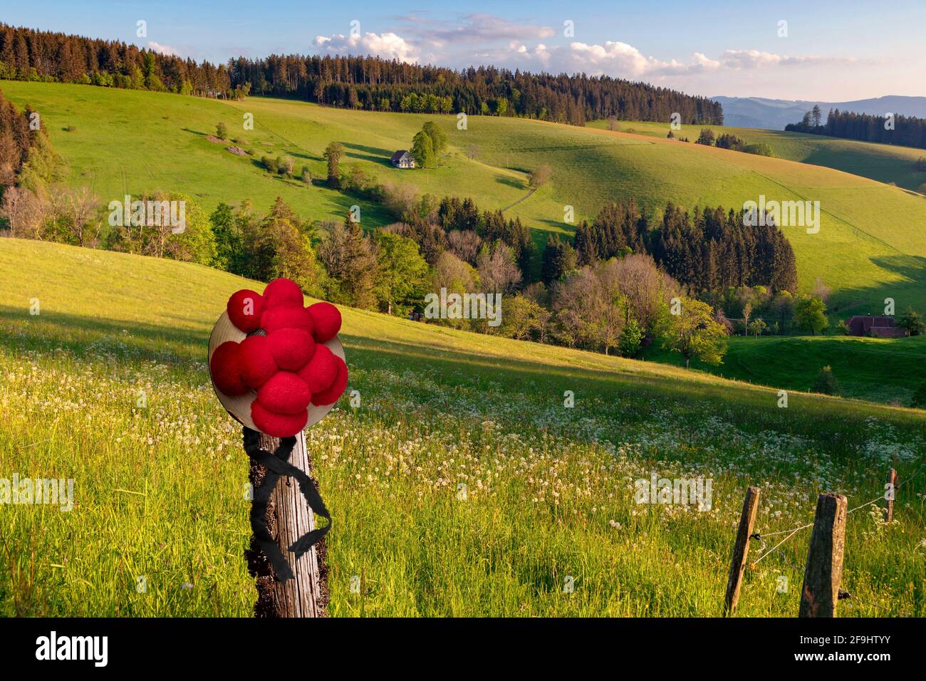 Schwarzwald bollenhut -Fotos und -Bildmaterial in hoher Auflösung – Alamy
