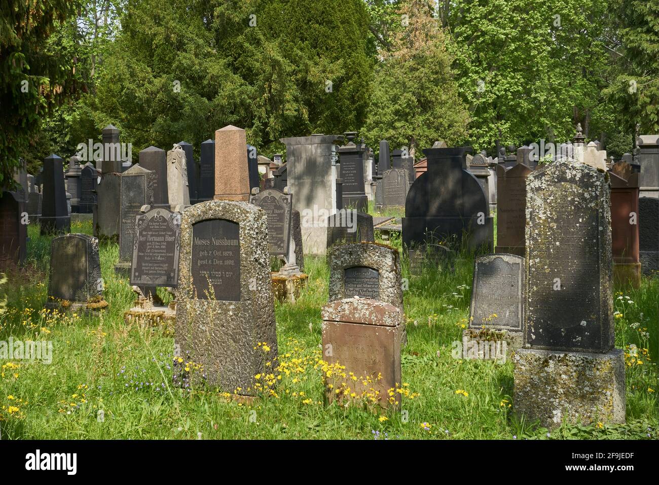Grabmale, Alter jüdischer Friedhof Rat-Beil-Straße, am Hauptfriedhof ... Grabmale, Alter jüdischer Friedhof Rat-Beil-Straße, am Hauptfriedhof ...