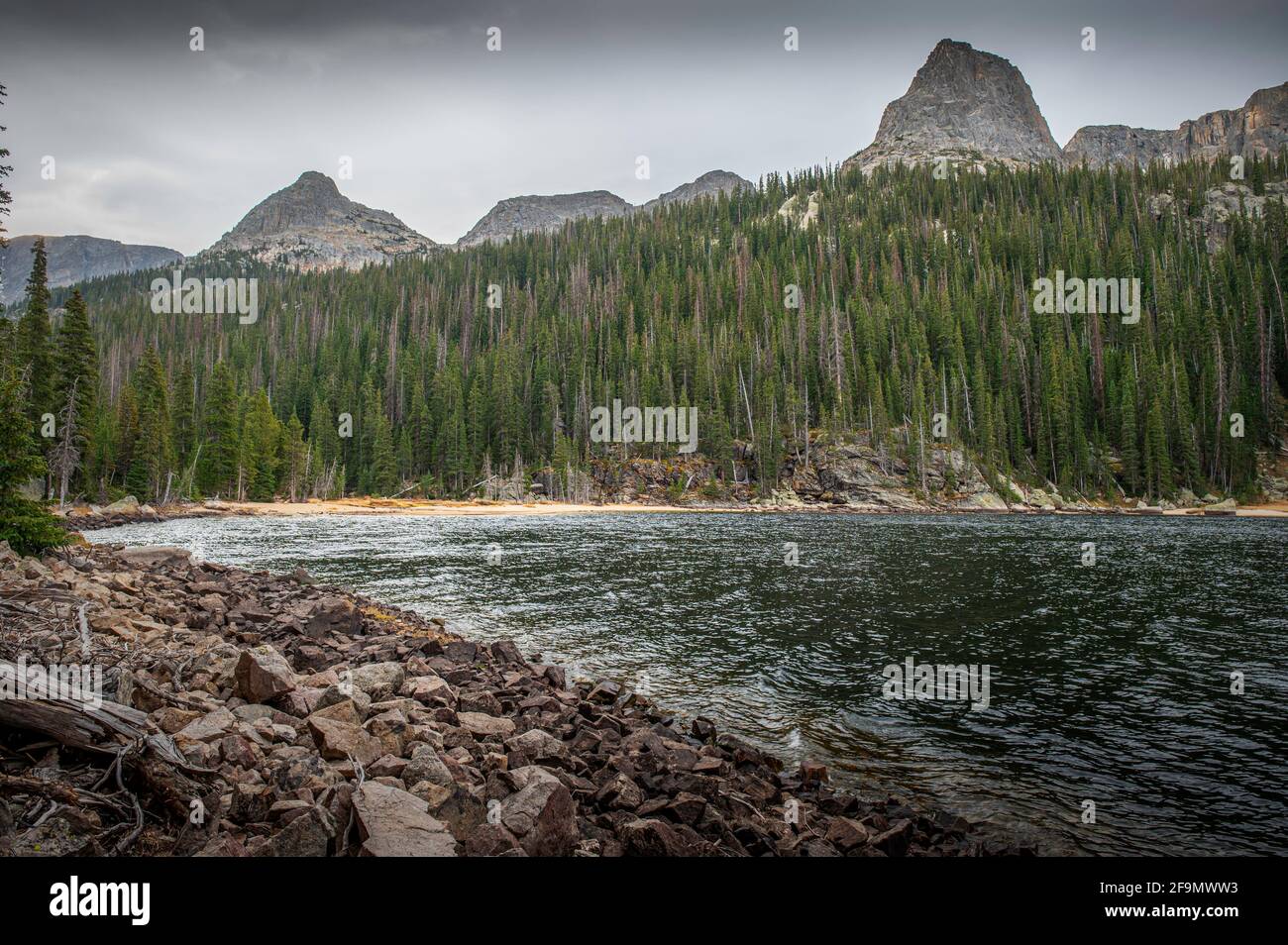 See verna -Fotos und -Bildmaterial in hoher Auflösung – Alamy