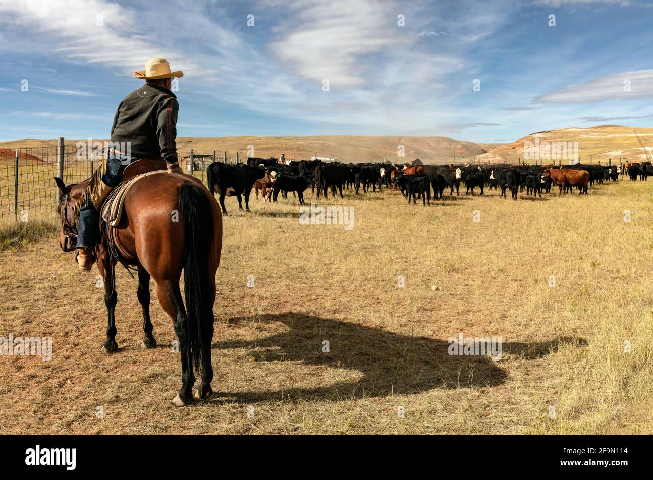 Montana cowboys -Fotos und -Bildmaterial in hoher Auflösung – Alamy