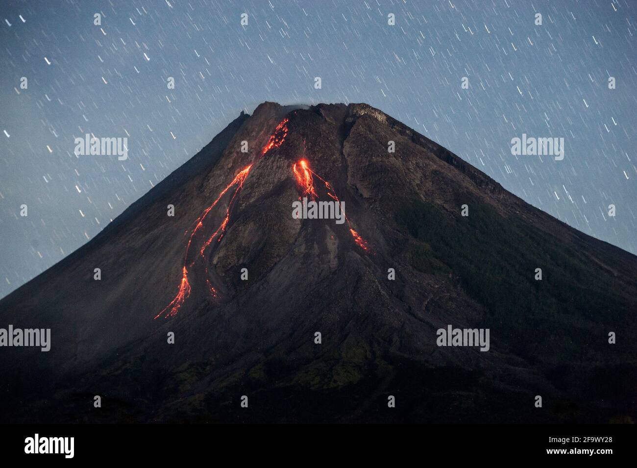 Tunggul arum -Fotos und -Bildmaterial in hoher Auflösung – Alamy