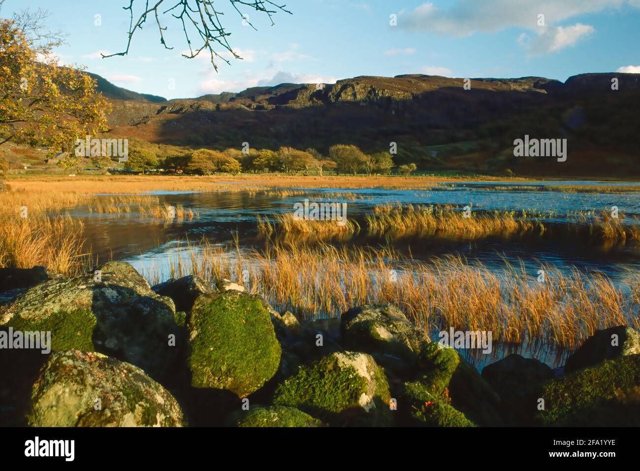 Cwm bychan snowdonia nationalpark -Fotos und -Bildmaterial in hoher ...