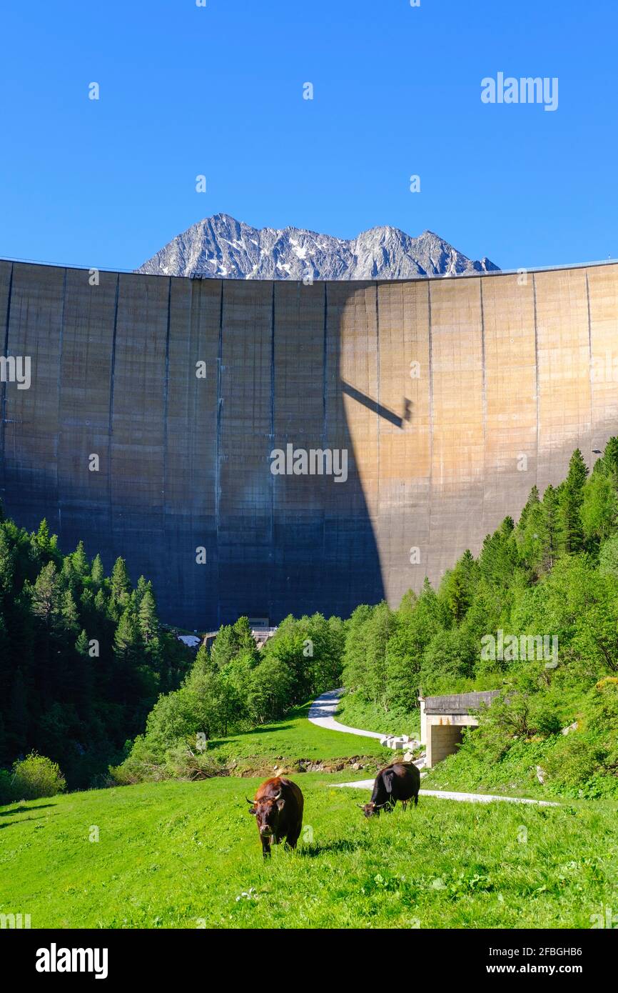 Staumauer am Schlegeis Stausee, Zillertaler Alpen, Zillertal, Tirol ...