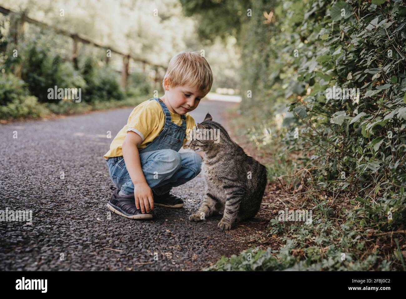 Junge und katze -Fotos und -Bildmaterial in hoher Auflösung – Alamy