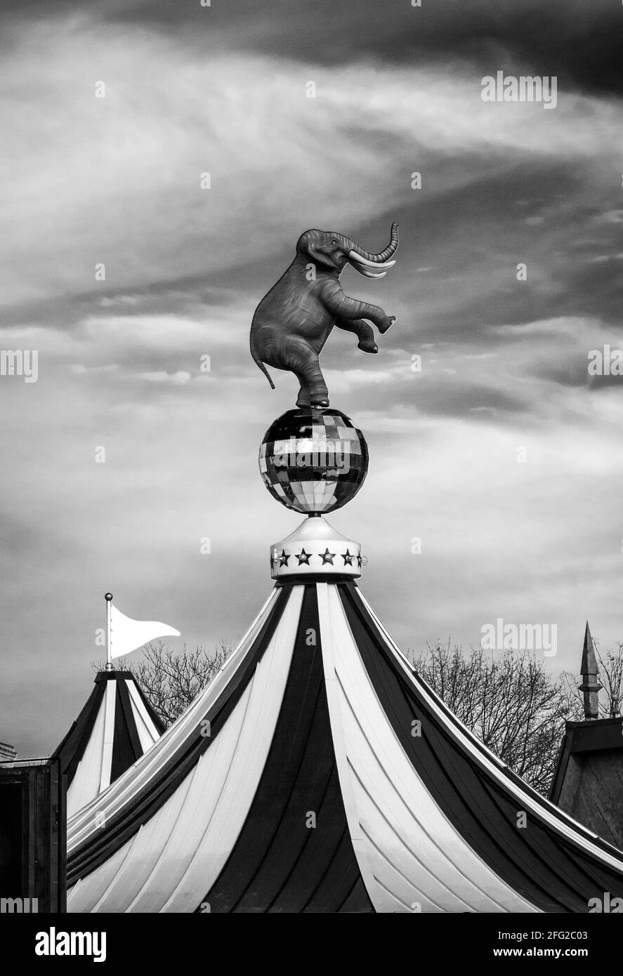 Vintage circus elephant Schwarzweiß-Stockfotos und -bilder - Alamy