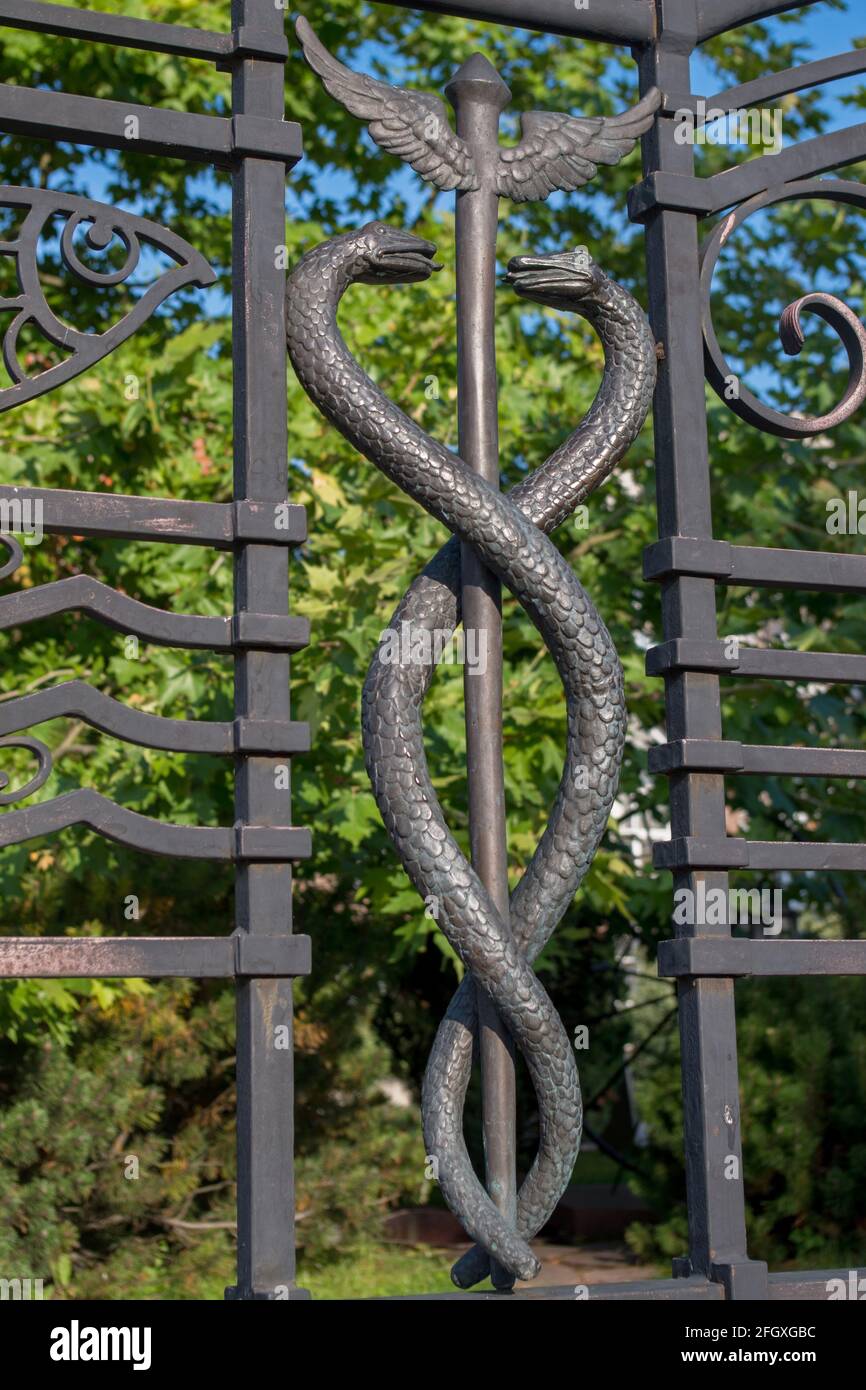 Das Symbol der medizinischen Versorgung, der Caduceus-Stab aus dunklem ...