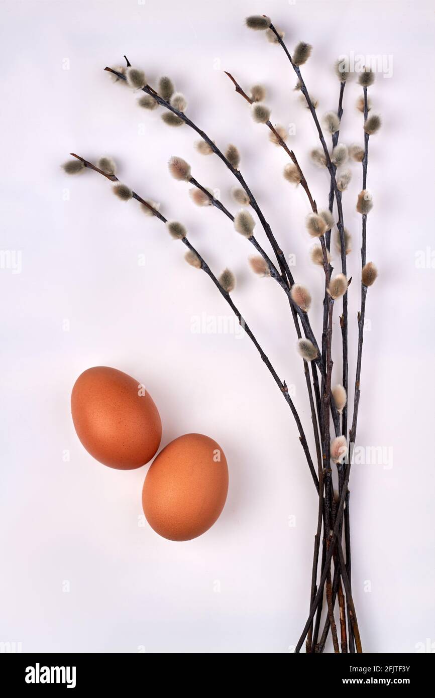 Christliche vogelsymbole -Fotos und -Bildmaterial in hoher Auflösung – Alamy