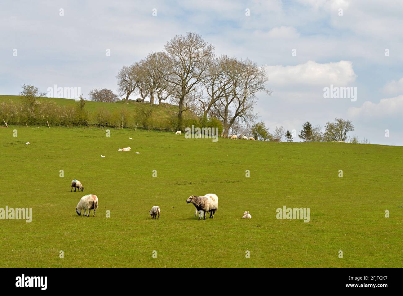 Hill end -Fotos und -Bildmaterial in hoher Auflösung – Alamy