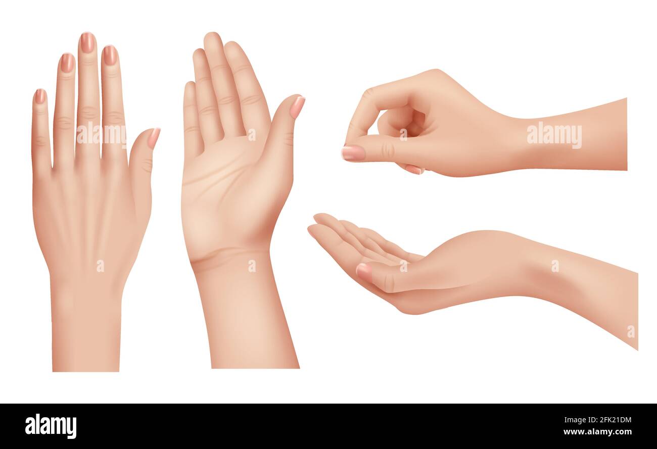 Hände realistisch. Gesten menschliche Handflächen und Finger zeigen ...
