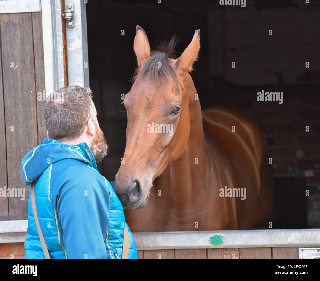 Sam allwood -Fotos und -Bildmaterial in hoher Auflösung – Alamy