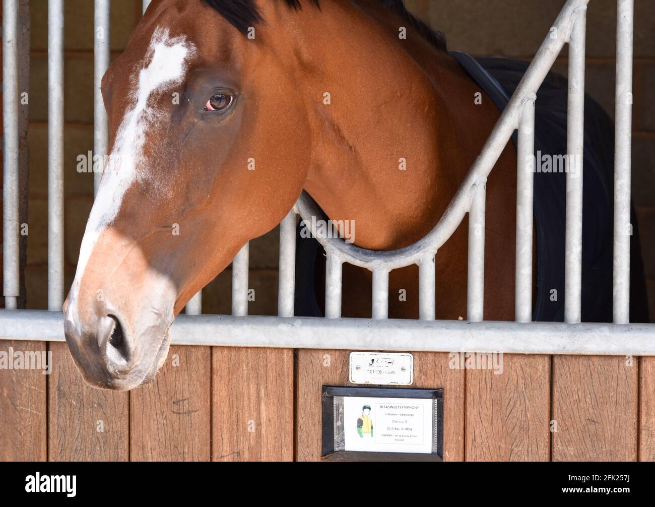 Sam allwood -Fotos und -Bildmaterial in hoher Auflösung – Alamy