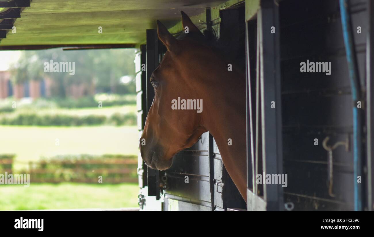 Sam allwood -Fotos und -Bildmaterial in hoher Auflösung – Alamy