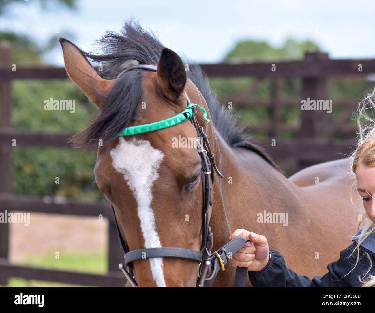 Sam allwood -Fotos und -Bildmaterial in hoher Auflösung – Alamy