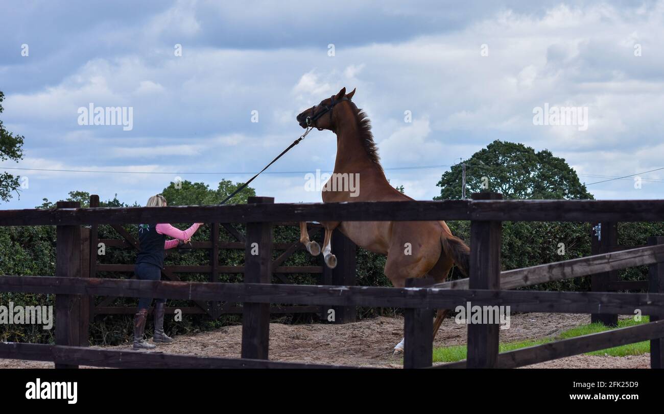 Sam allwood -Fotos und -Bildmaterial in hoher Auflösung – Alamy