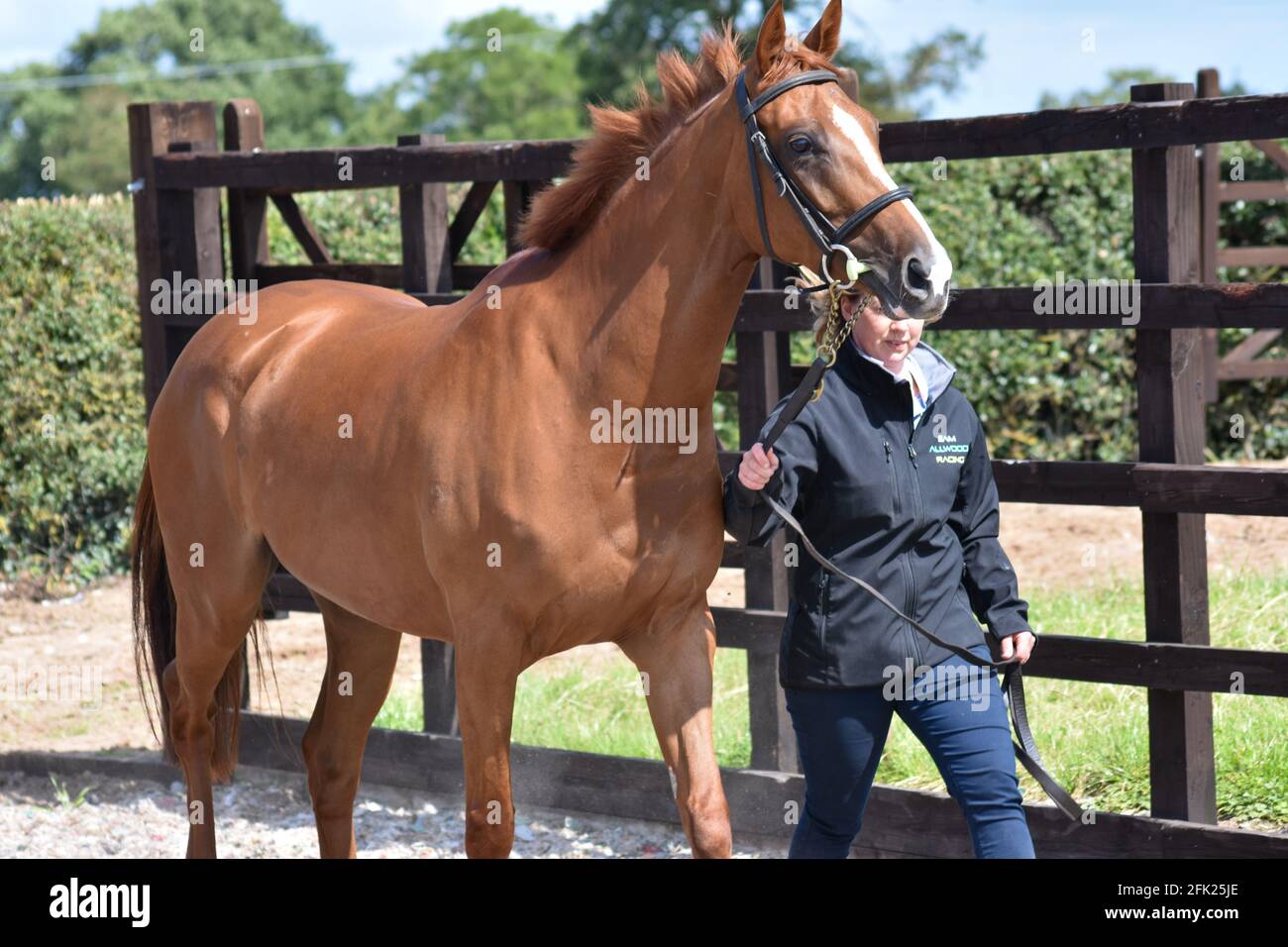 Sam allwood -Fotos und -Bildmaterial in hoher Auflösung – Alamy