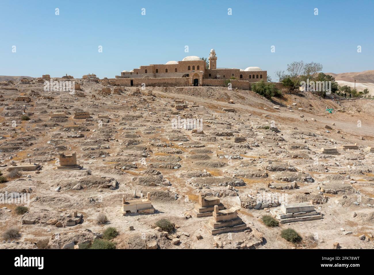 Moses Palmen Stockfotos und -bilder Kaufen - Alamy