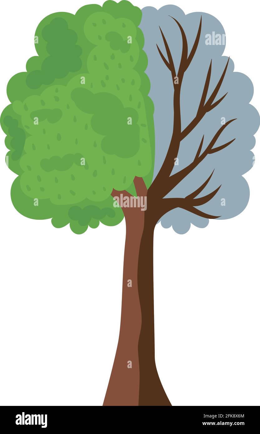 Baum halb tot, halb lebendig -Fotos und -Bildmaterial in hoher ...