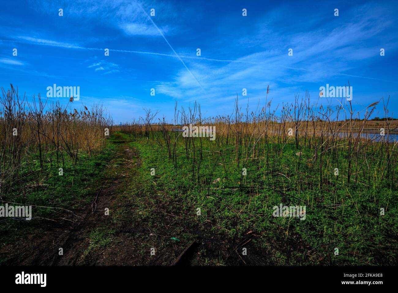 Salt Marsh Nature Trail in Gerritsen Beach, Brooklyn, NY, USA ...