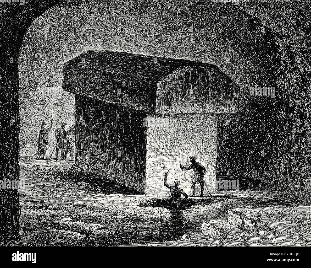 Apis bullen -Fotos und -Bildmaterial in hoher Auflösung – Alamy