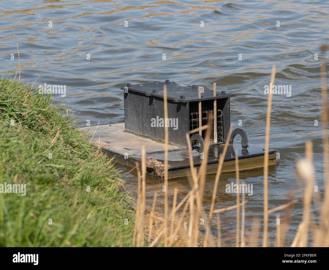 Mink cage -Fotos und -Bildmaterial in hoher Auflösung – Alamy