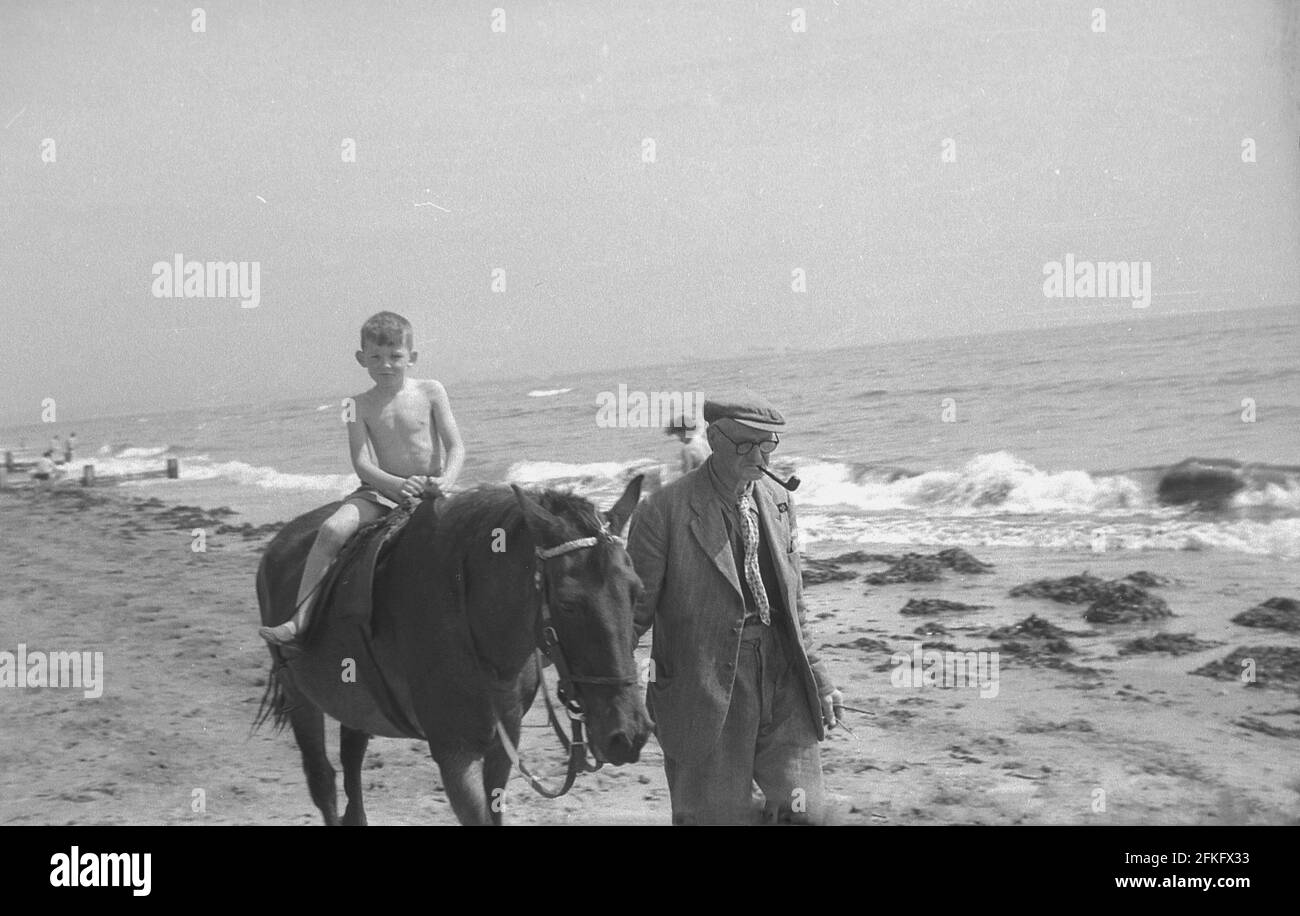Schwarzes Pferd Am Strand Stockfotos und -bilder Kaufen - Alamy