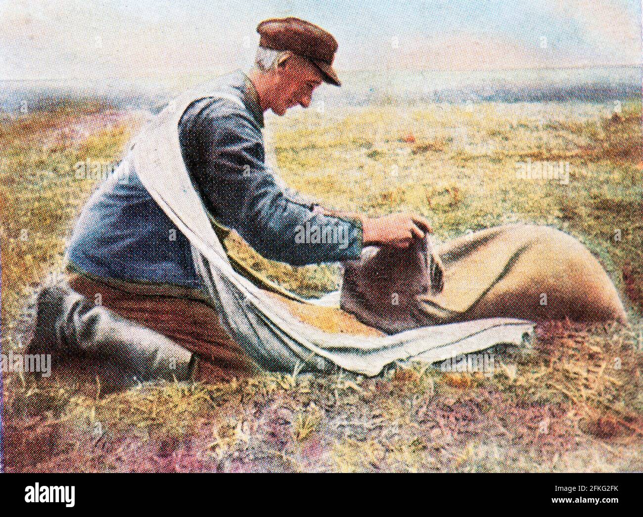 Germanisches reich -Fotos und -Bildmaterial in hoher Auflösung – Alamy