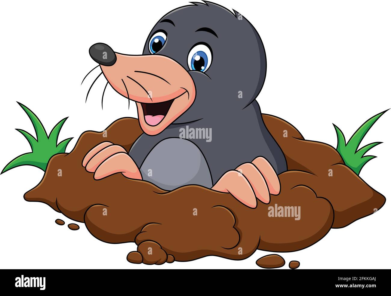 Cartoon mole -Fotos und -Bildmaterial in hoher Auflösung – Alamy