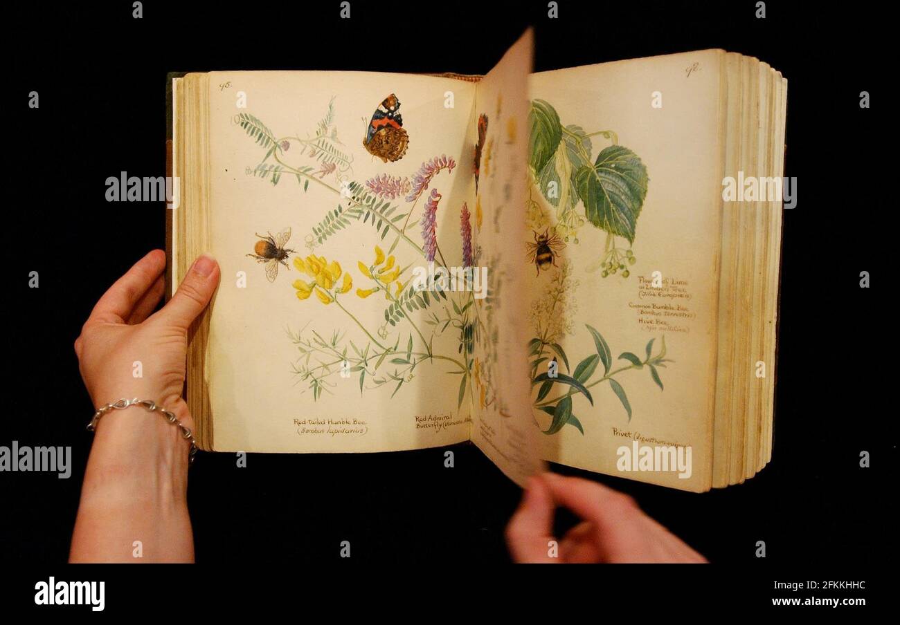 Edith holden -Fotos und -Bildmaterial in hoher Auflösung – Alamy