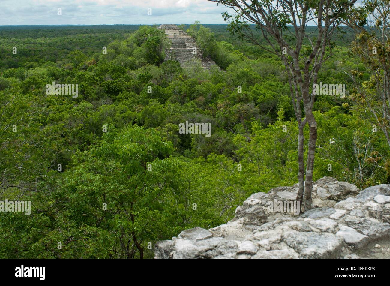 LA RESERVA DE LA BIOSFERA DE CALAKMUL ES LA MAYOR EXTENSION DE BOSQUE ...