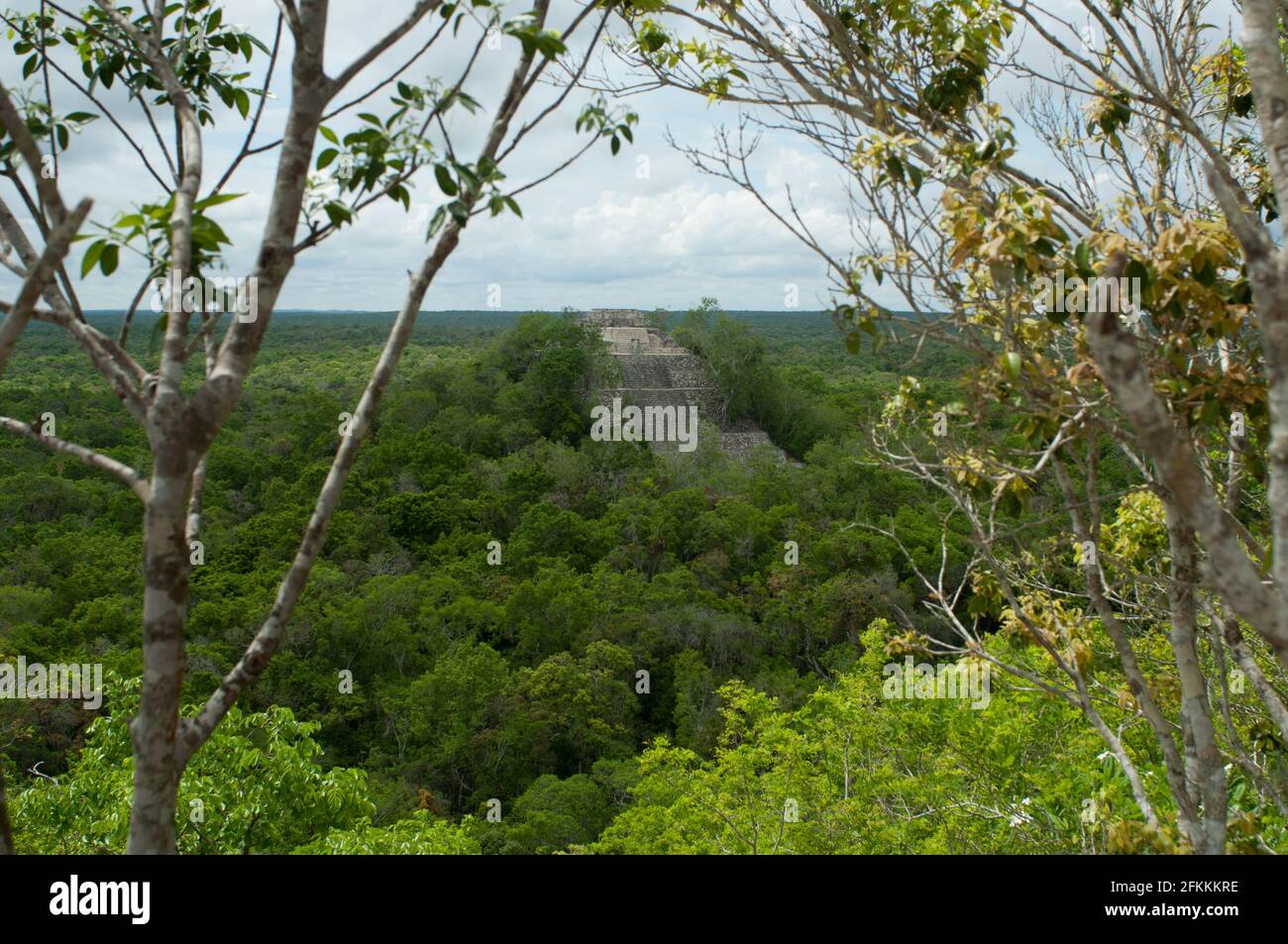 LA RESERVA DE LA BIOSFERA DE CALAKMUL ES LA MAYOR EXTENSION DE BOSQUE ...