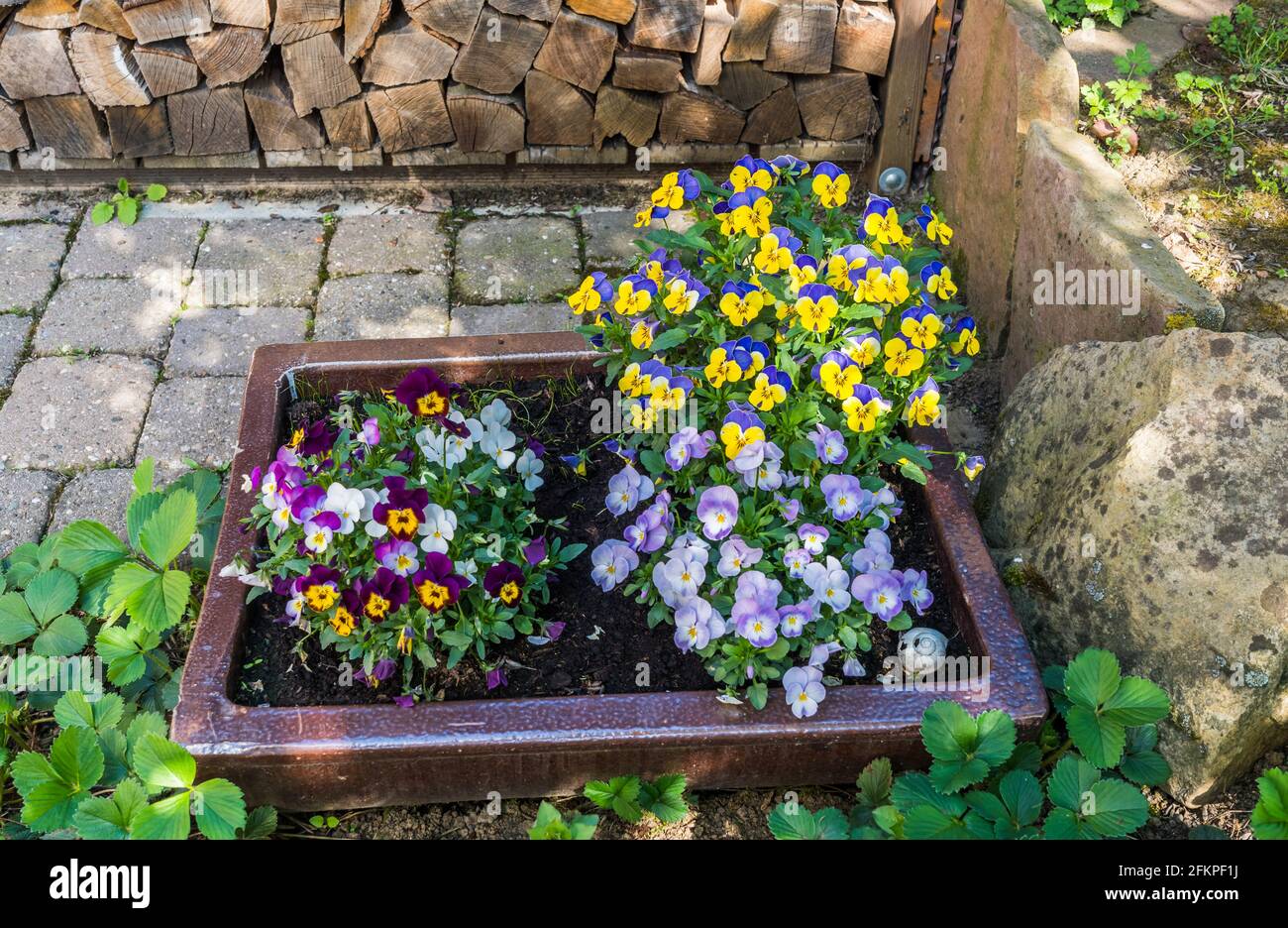 Alter trog -Fotos und -Bildmaterial in hoher Auflösung – Alamy