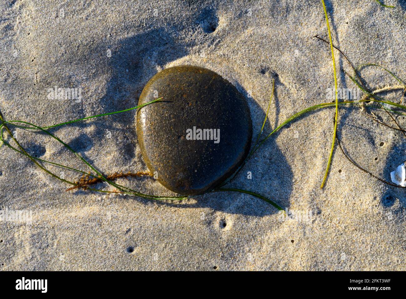 Nasser kieselstein im wasser -Fotos und -Bildmaterial in hoher ...