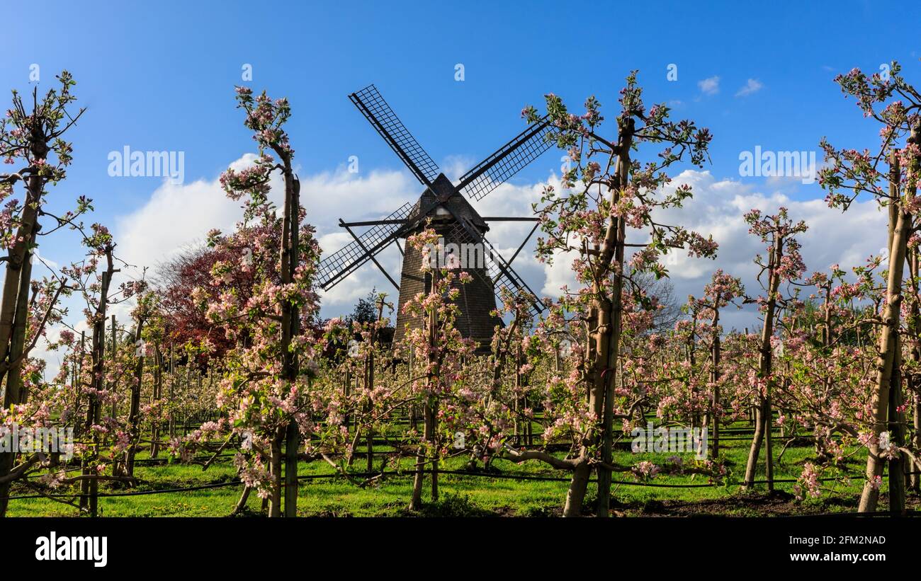 Lette mühle -Fotos und -Bildmaterial in hoher Auflösung – Alamy